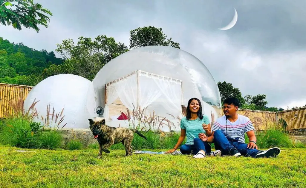 Top 10 Best Places to go Glamping in Bali: My favorite Areas and Hotels ...